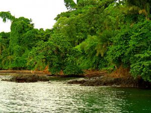 La isla de Bioko antigua Fernando Poo en Guinea Ecuatorial - El sueño ...